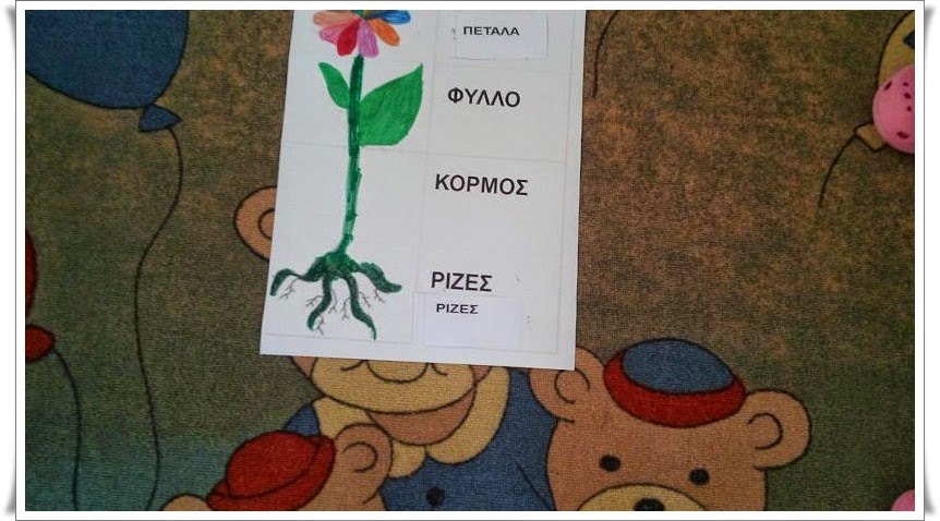 Χαρούμενες φατσούλες στο νηπιαγωγείο: ΤΑ ΜΕΡΗ ΤΟΥ ΛΟΥΛΟΥΔΙΟΥ