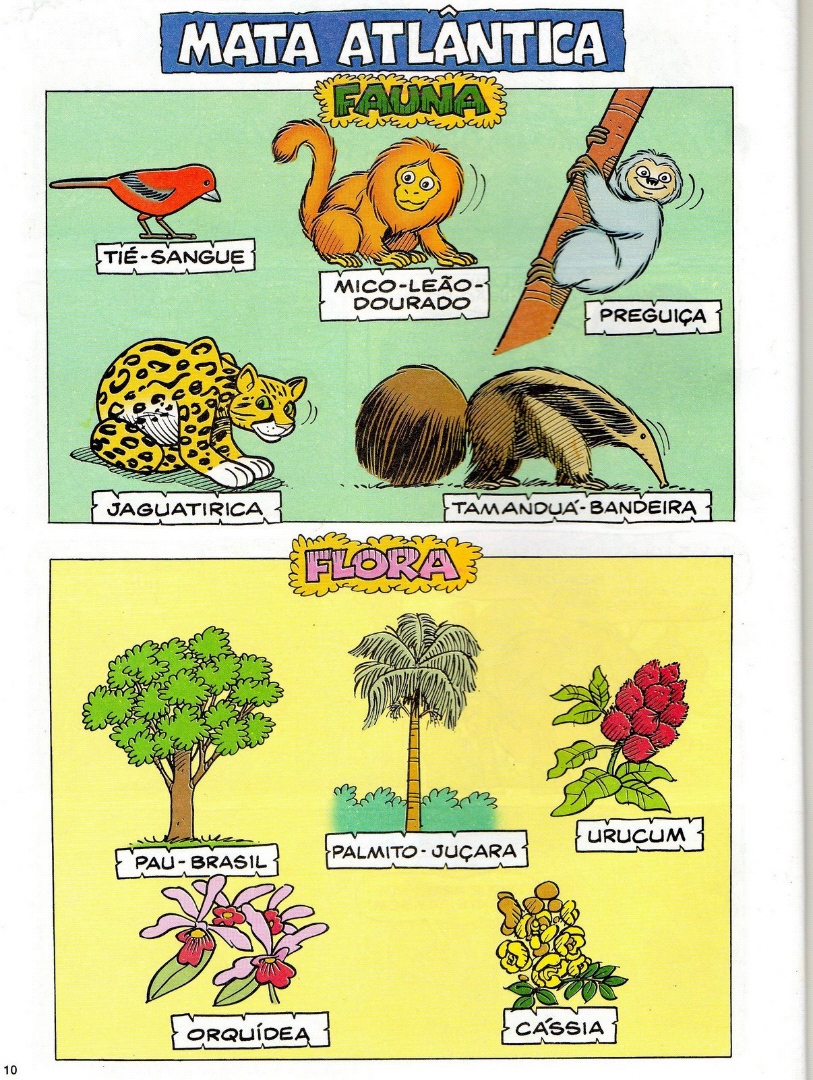Turma da Mônica em: Mata Atlântica Aprendendo sobre a Mata Atlântica ...