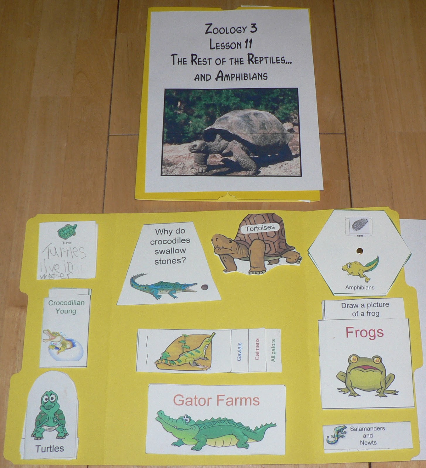 Walking by the Way: Our Zoo 3 Lapbooks by A Journey Through Learning