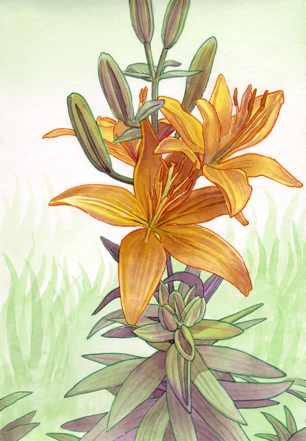 Alan Hawley Illustration