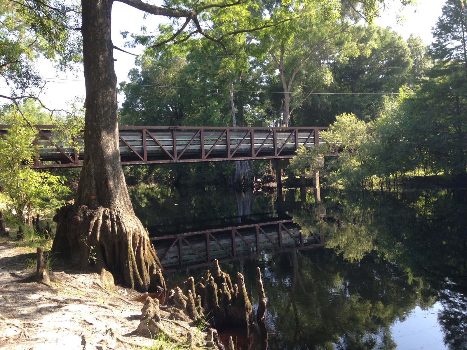 Dreadnots Logging Withlacoochee River Florida
