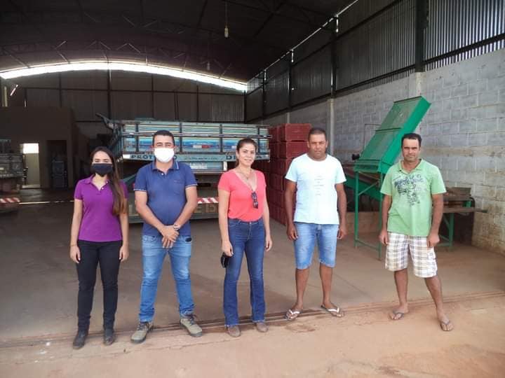 O Corvo-Veloz | Quem lê, sabe primeiro | sebasfilho@gmail.com: PLANTIO ...