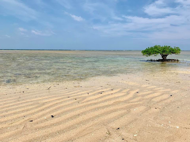 3 Things To Do In Capalonga, Camarines Norte - Beauty, fashion and ...