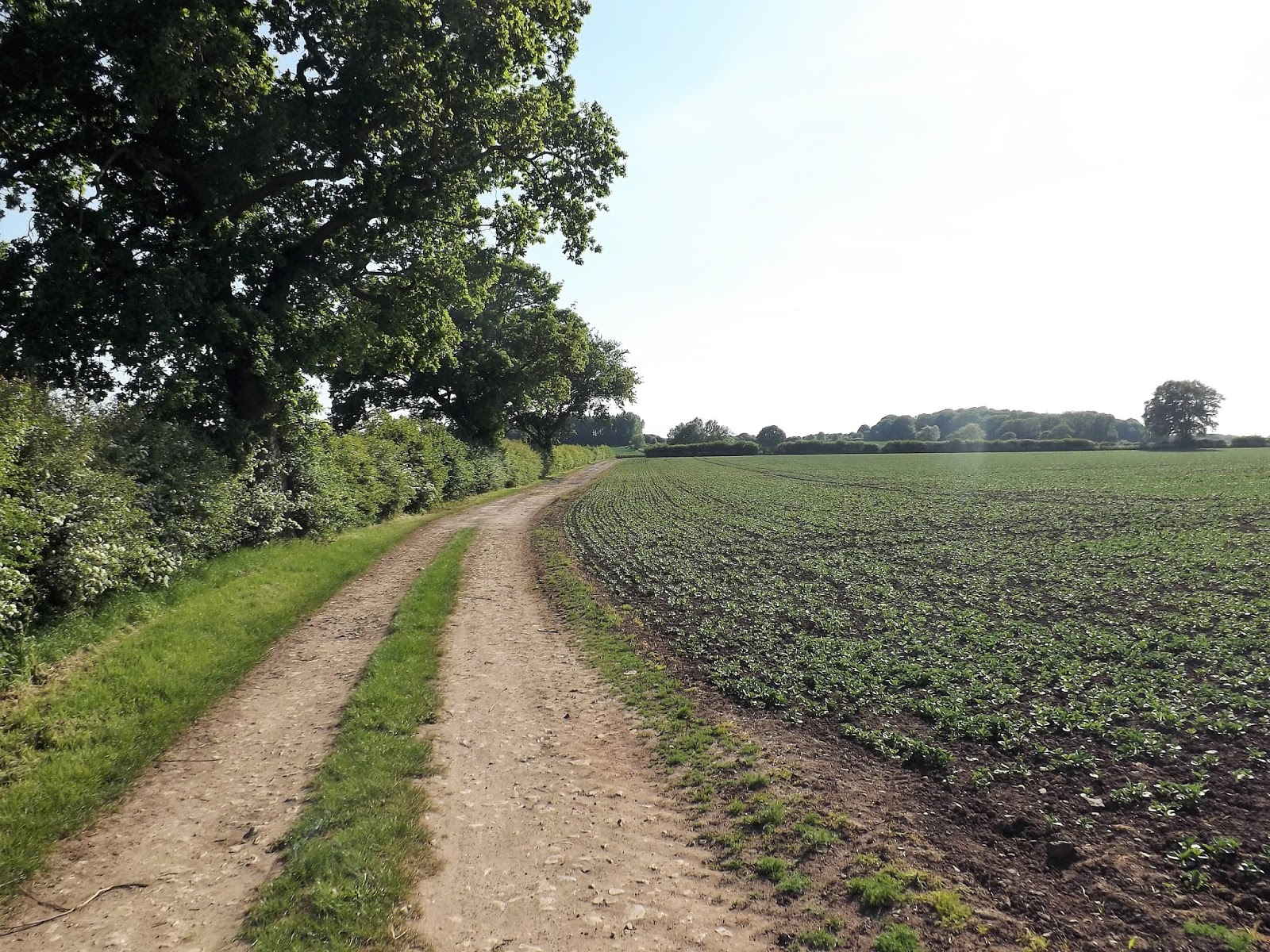 JJ's Wargames: Battle of Stoke Field, 16th June 1487