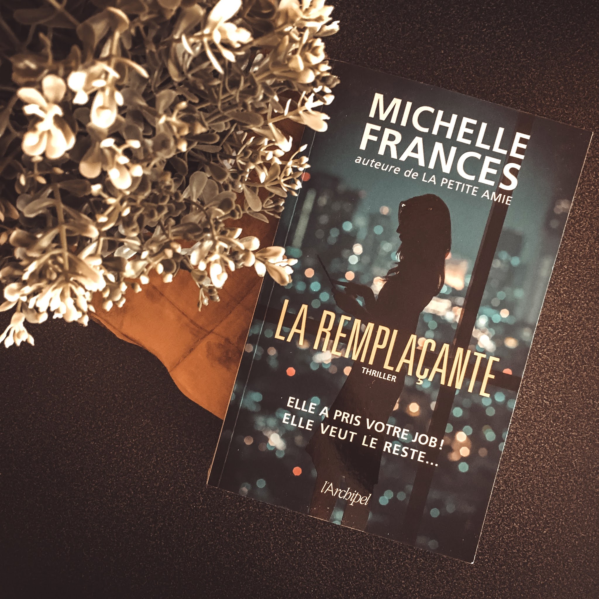 La remplaçante - Michelle Frances