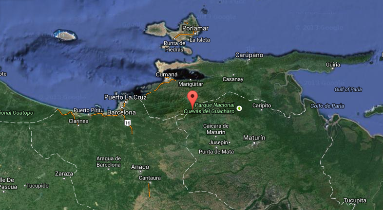 Dendroland: Diario de un Sapito Niñero Oriental (Colostethus Mandelorum)