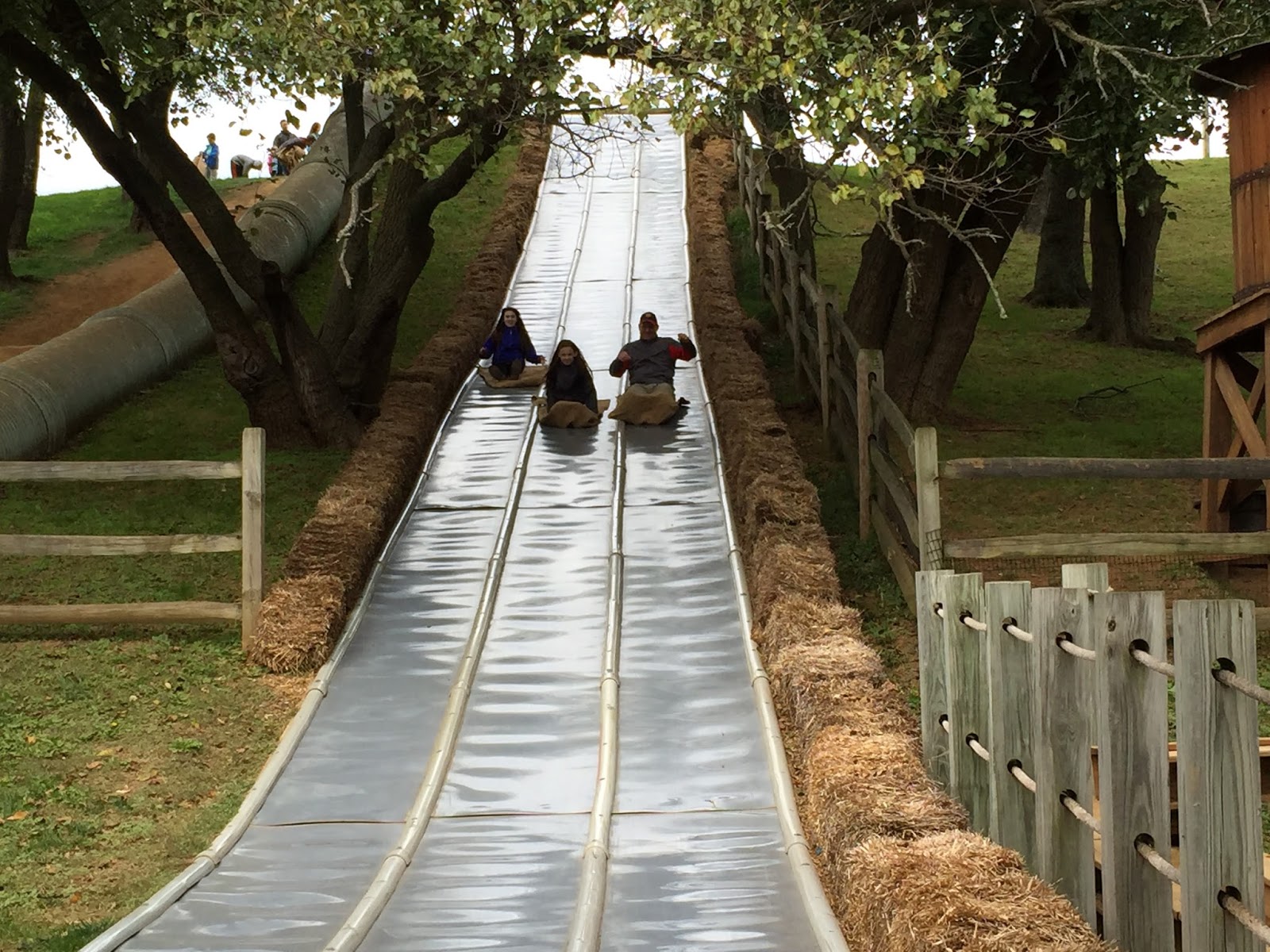 Cherry Crest Adventure Farm - Fun Things To Do With Kids