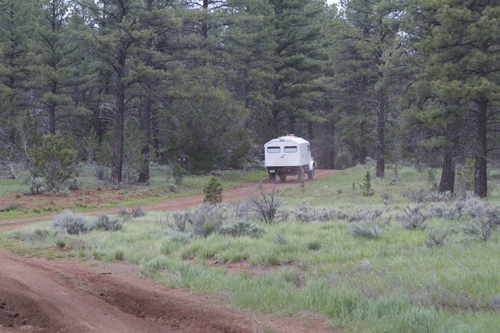 Running From Moose: The Arizona Strip: Snap Point