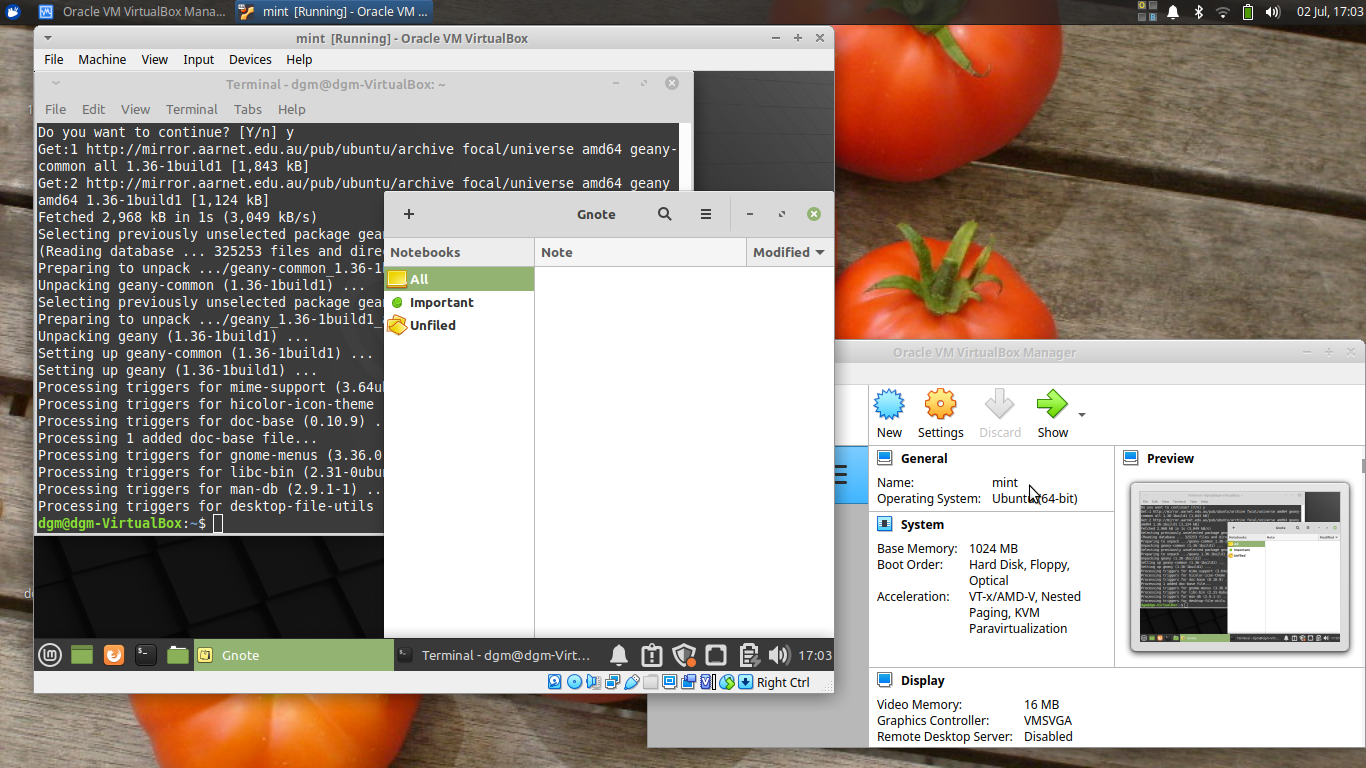 Stuff, geeky stuff: Which linux should I run on an old netbook?