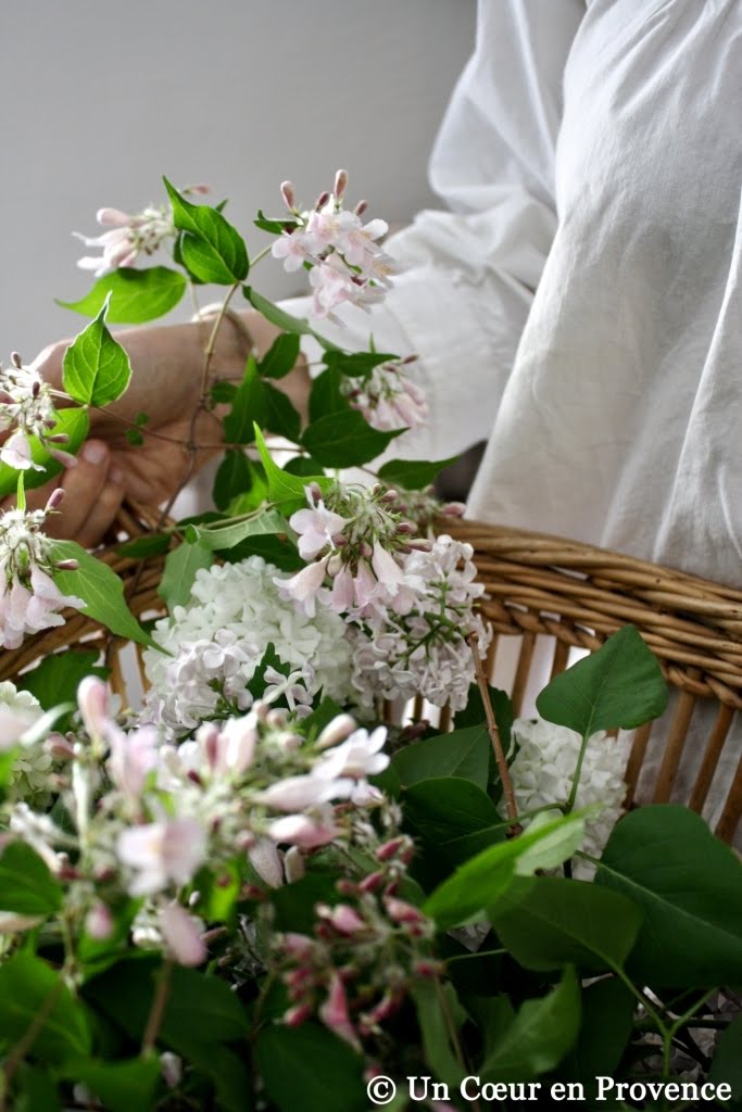 Un Coeur en Provence: Panier fleuri
