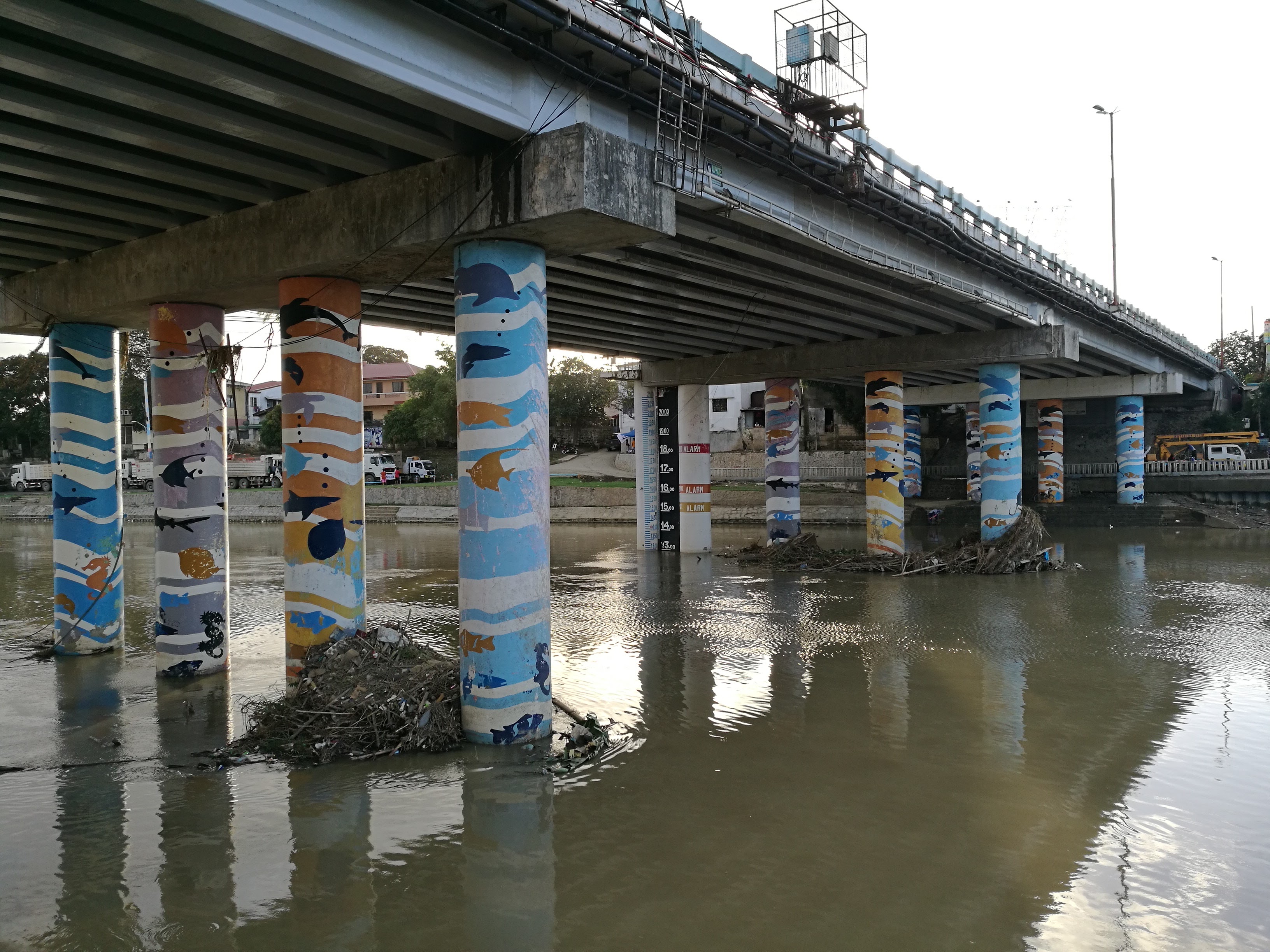 Totiegraphy - as viewed from my eyes and my camera viewfinder...: Faces ...