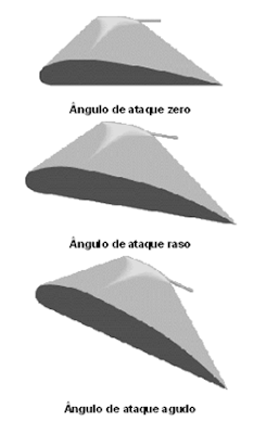 NINJA: Teoria de Voo