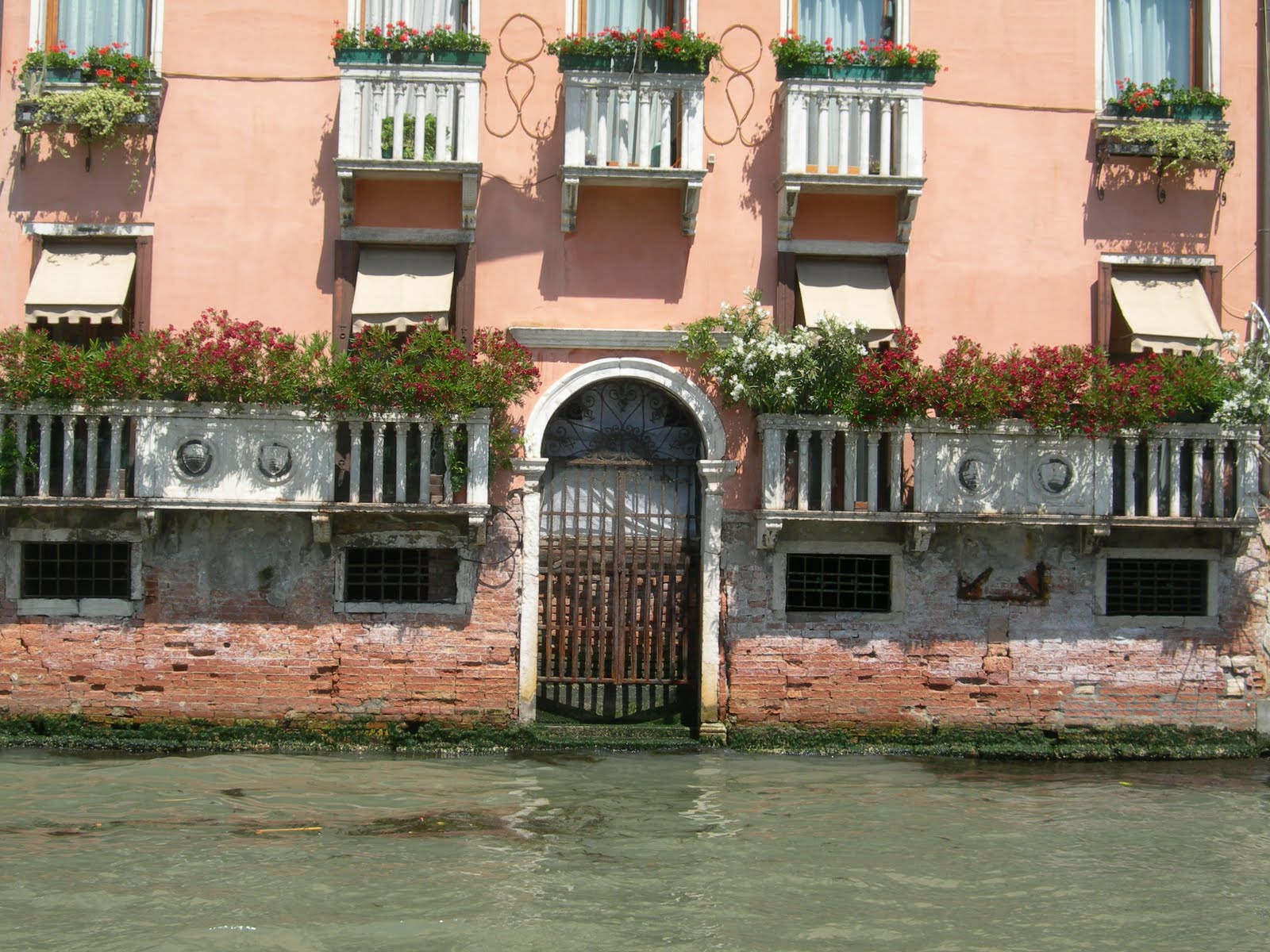 Polystyrene Garden Junkie: June 2011