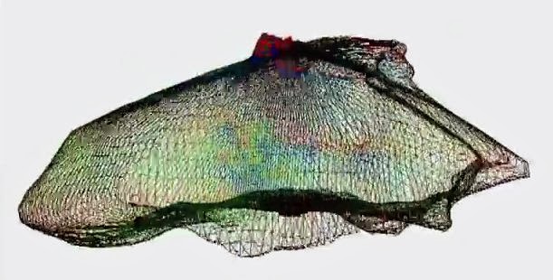 Chultuns - How ancient Maya collect water during rain season ...