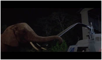 Exploding Helicopter: Sheena: Queen of the Jungle