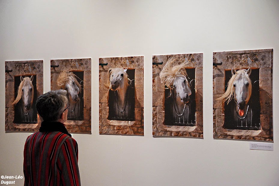 Percheron International: Le Percheron Au Château Saint-Jean