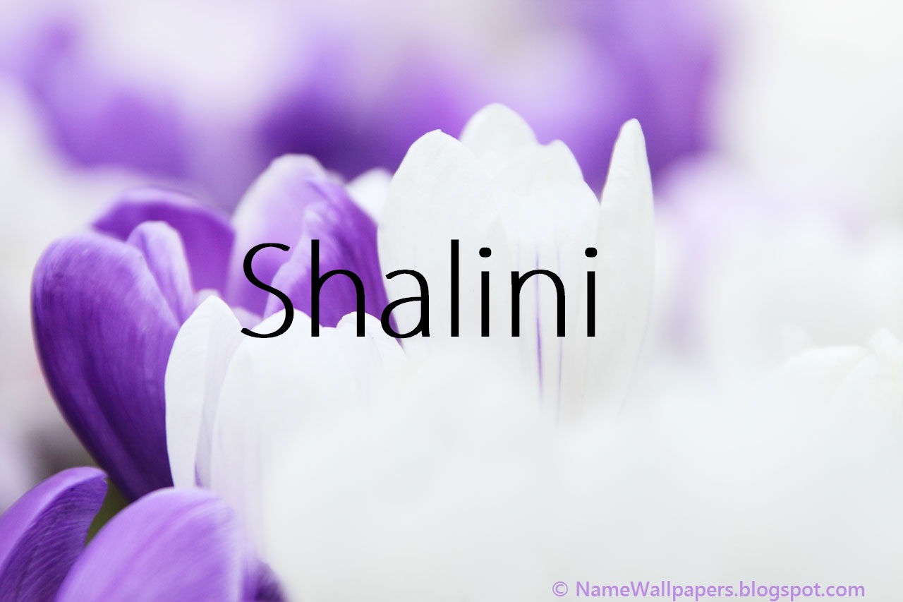 Shalini Name Wallpapers Shalini ~ Name Wallpaper Urdu Name Meaning Name ...