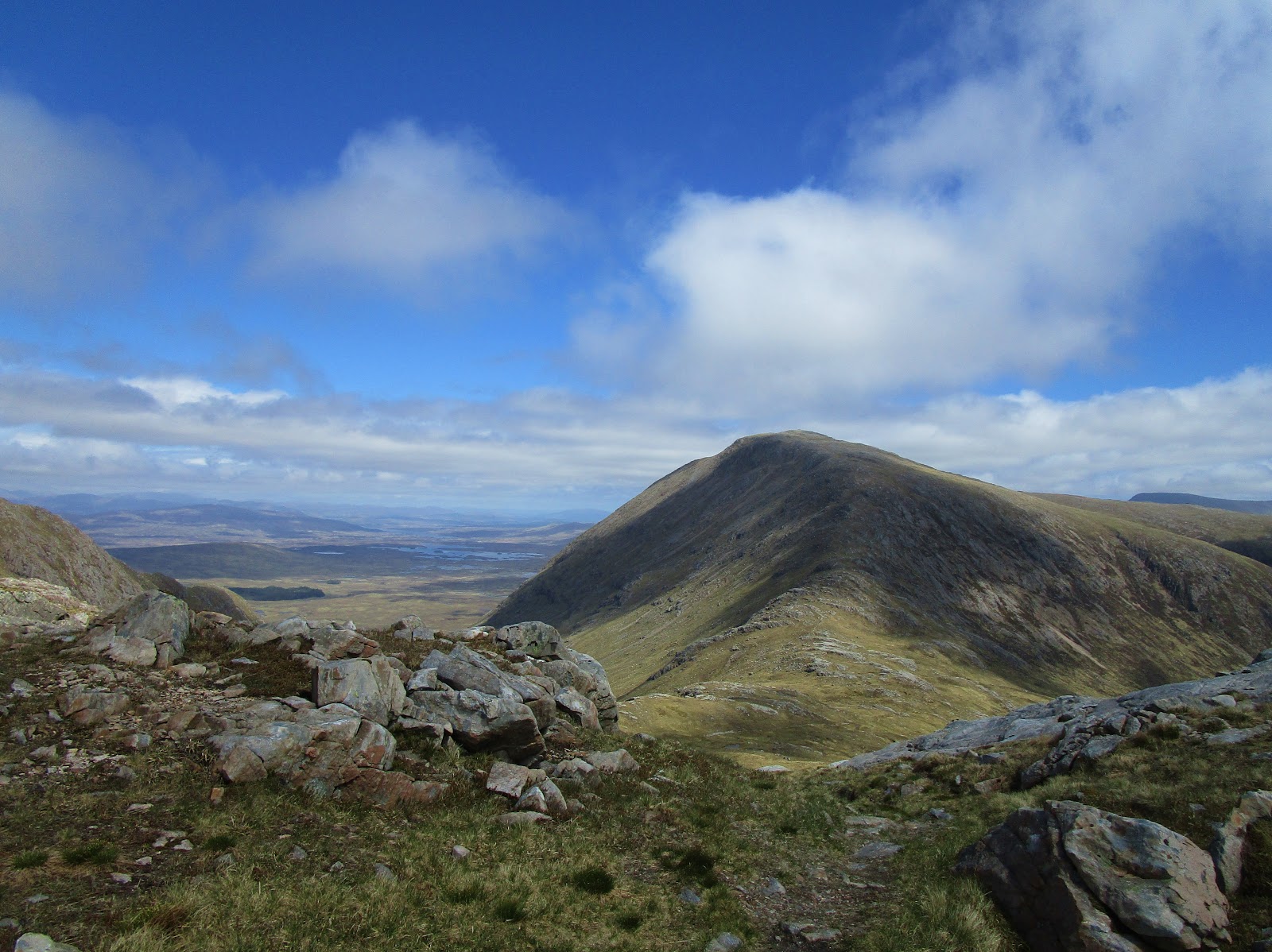 Big Gorse Bush: May 2019