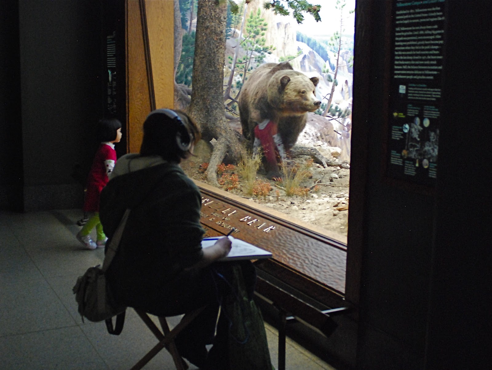NYC ♥ NYC: Artful Dioramas of North American Mammals at the American ...