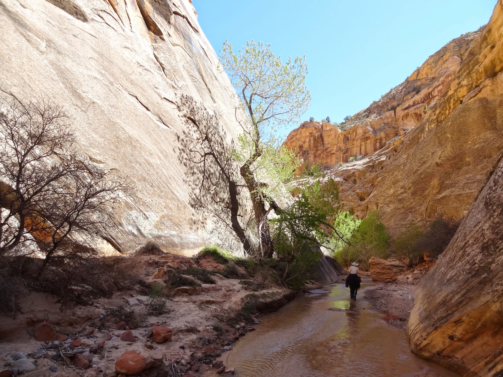 Dream Packer Trail Adventures: Paria River to Lower Hackberry Canyon, Utah