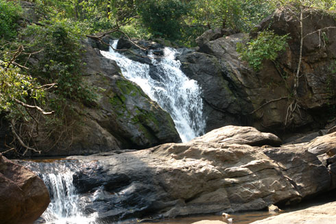 Peechi Vazhani Wildlife Sanctuary - Kerala Jungles