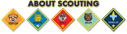 Cub Scout Pack 777: About Pack 777