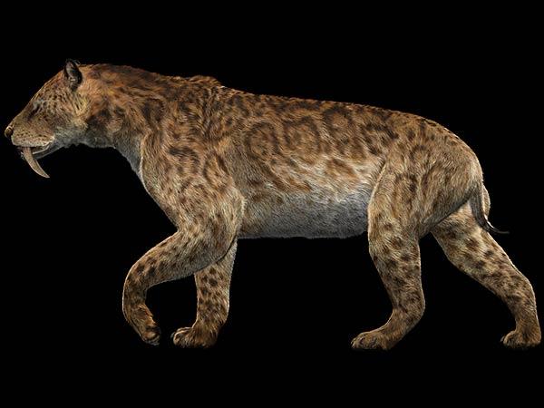 Terra dos Dinossauros: Smilodon