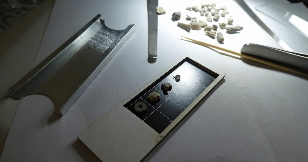 Microfossil Slides II : Making Slides