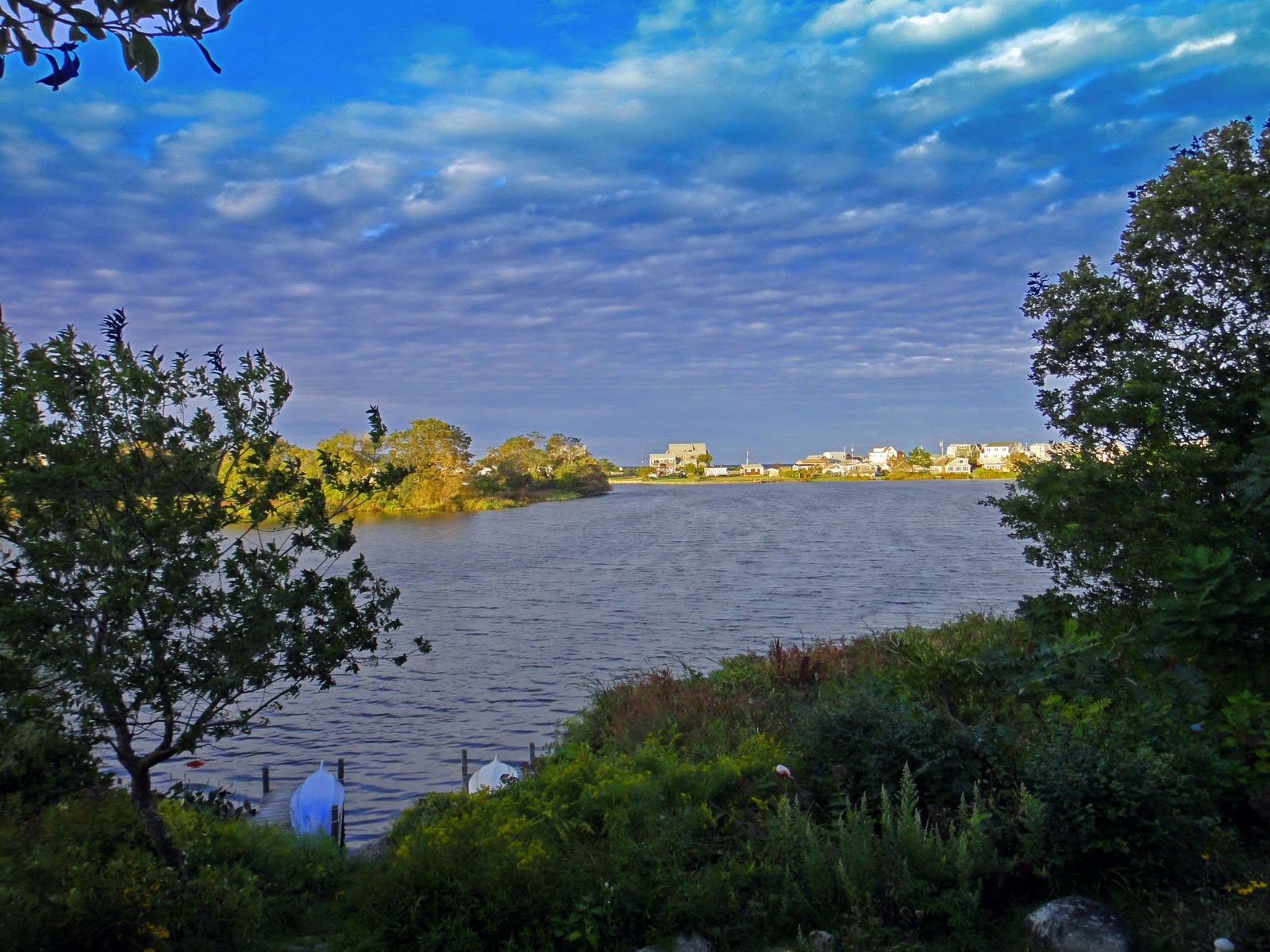 Joe's Retirement Blog: A Day in the Life, Bartlett Pond, Manomet ...