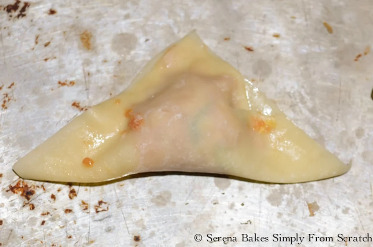 Wonton Soup | Serena Bakes Simply From Scratch