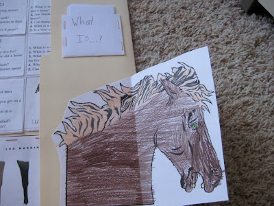 Thy Word: Horses lapbook
