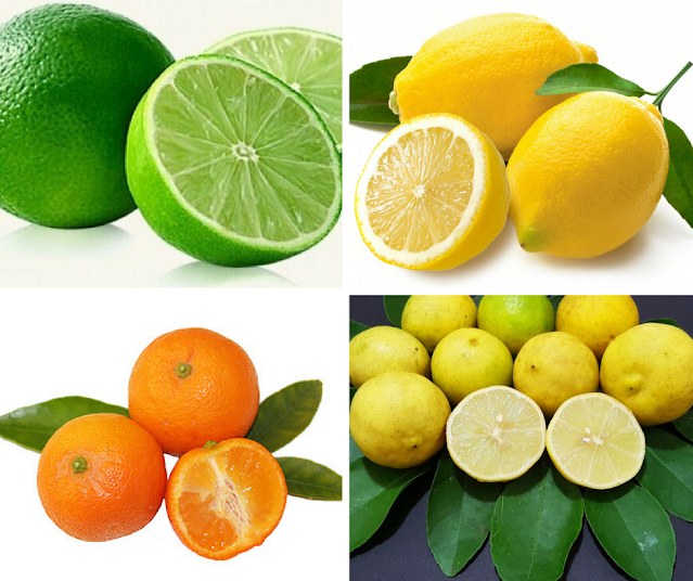Versátil e saudável: conheça os benefícios do limão