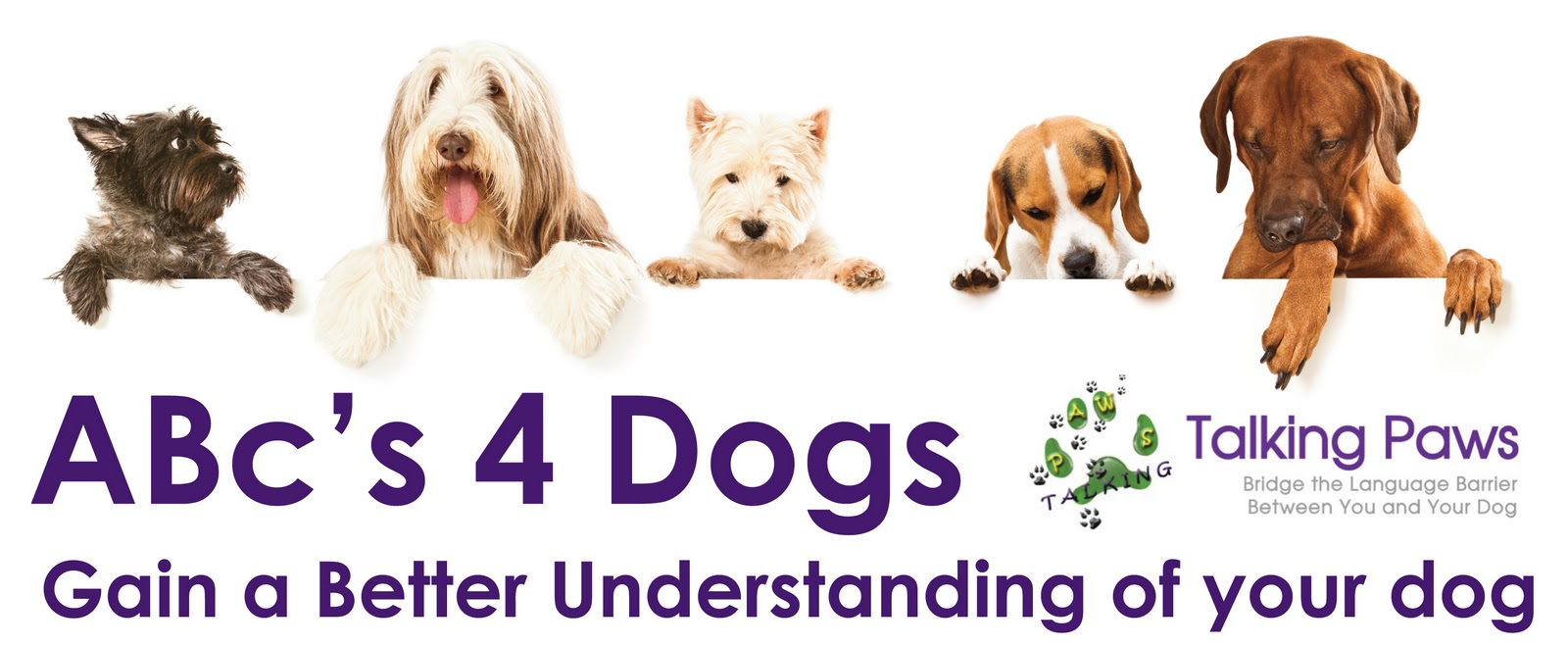 Talking Paws: ABc's 4 Dogs
