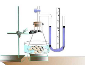 Biology Notes for A level: #96 Using respirometers