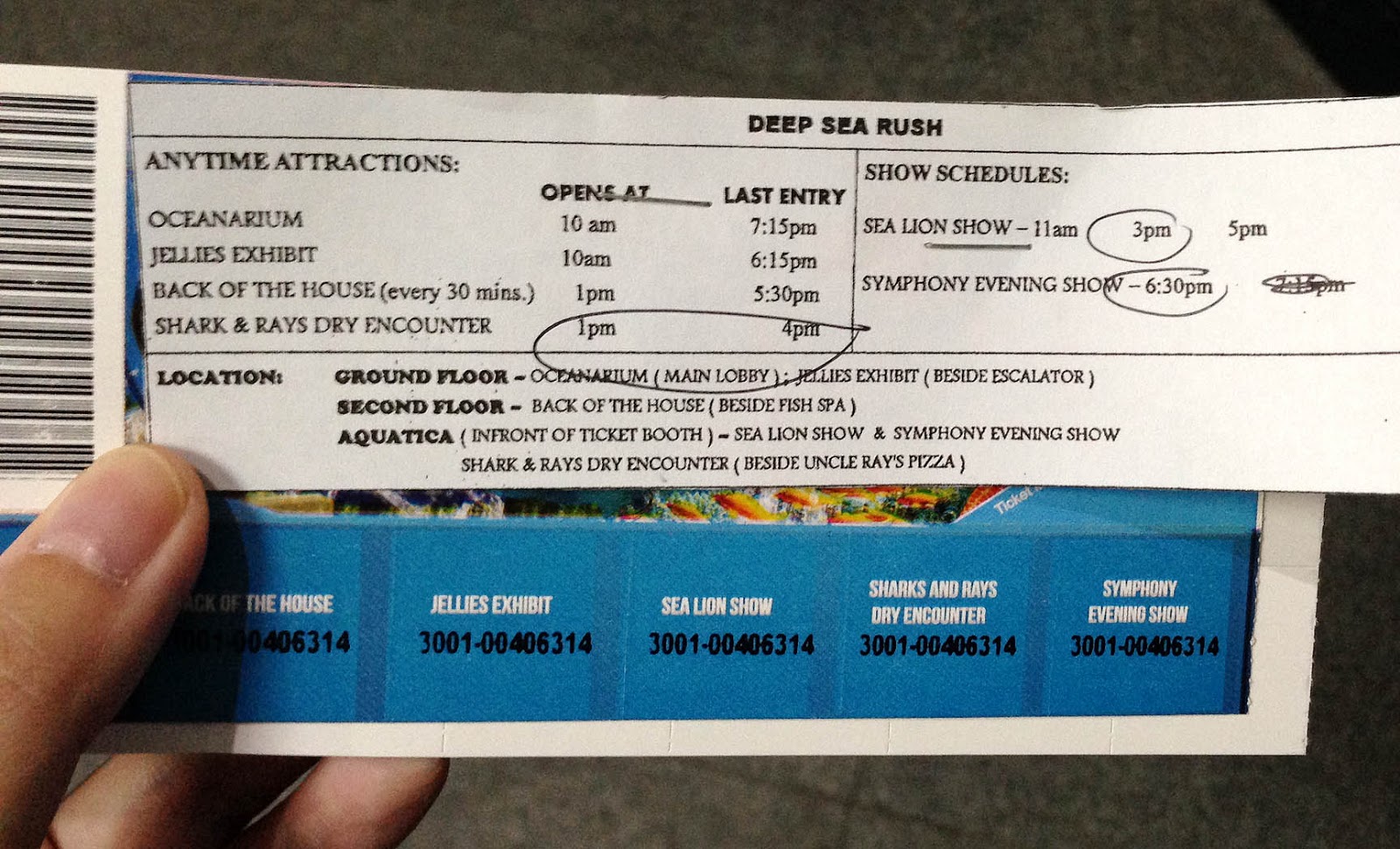 MrsMommyHolic: An afternoon at Manila Ocean Park