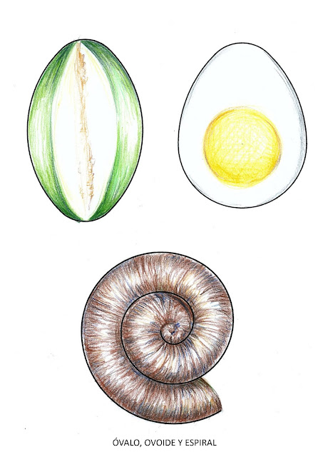 PlasTIC-art 2º ESO: OVAL, OVOID AND SPIRAL