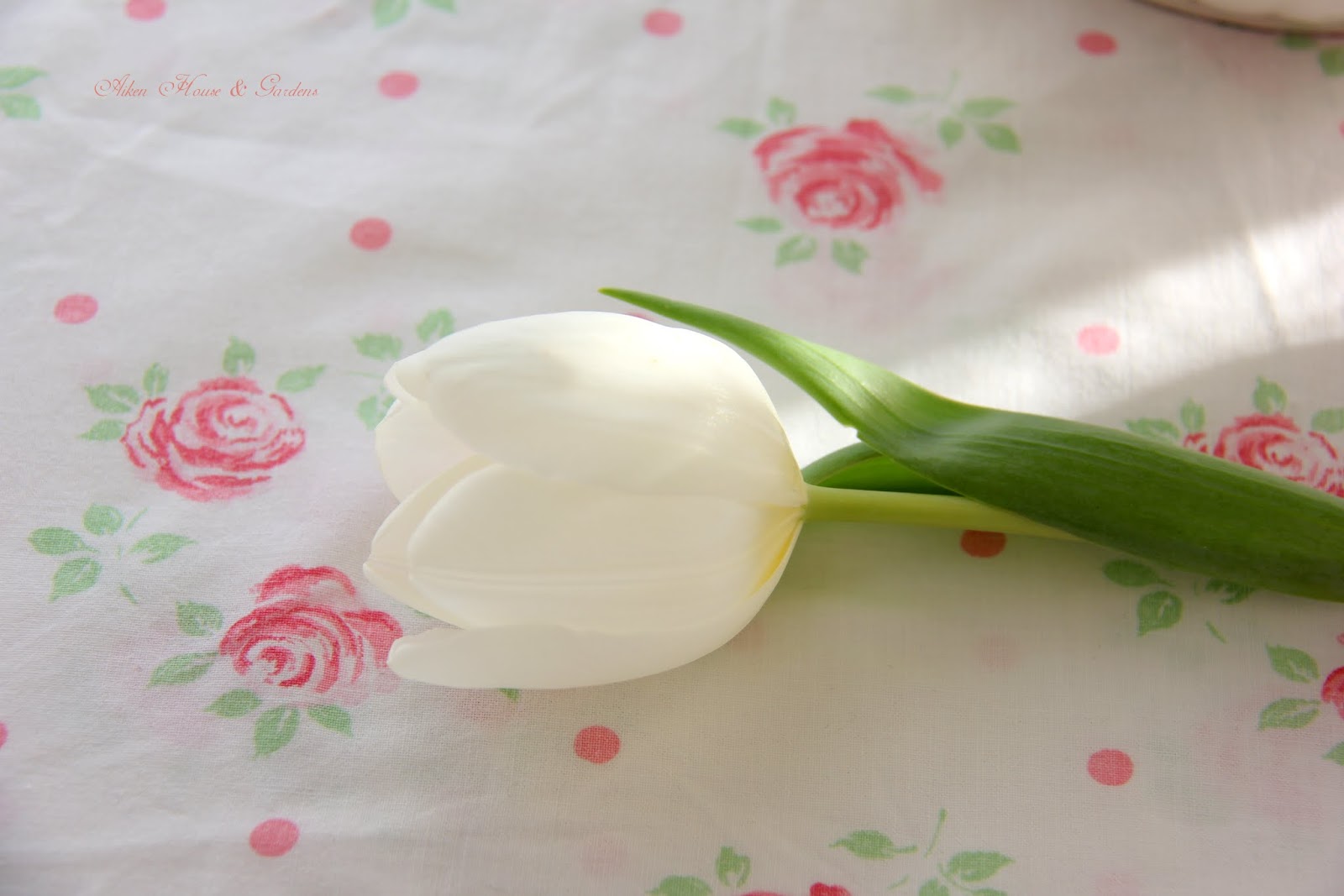 Aiken House & Gardens: A Pink Tea Time