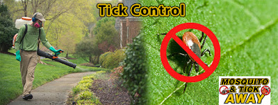 Mosquito & Tick AWAY: How To Hire The Best Mosquito Control Agency?