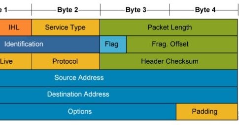 Sharing & Linking: IPv4 Packet Header