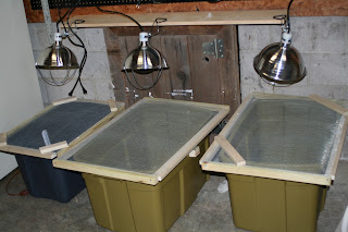 Brooding On: DIY Brooder Boxes