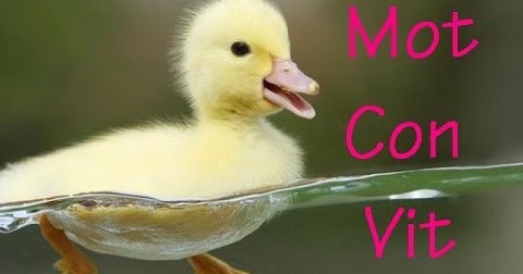 Chia sẻ cảm âm bài hát Một Con Vịt - Cảm âm nhạc thiếu nhi