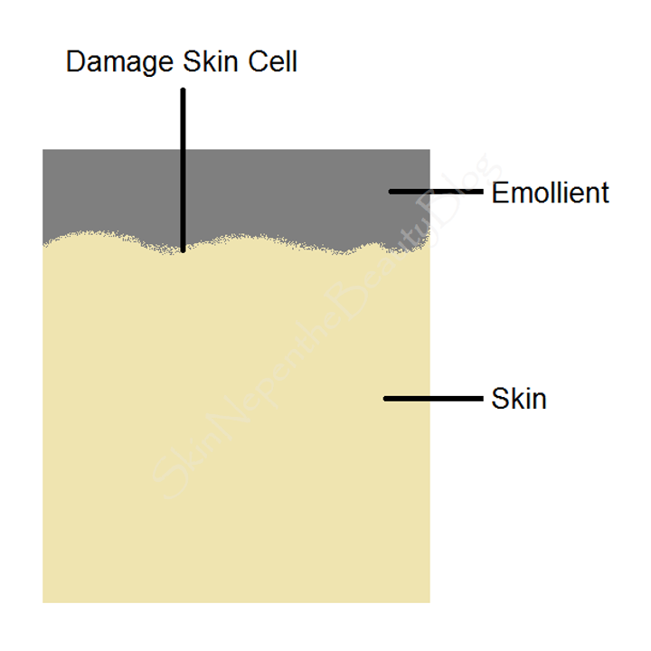 Beauty Note | Emollient Ingredient