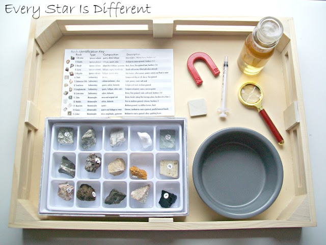 Earth Unit w/ Free Printables - Every Star Is Different