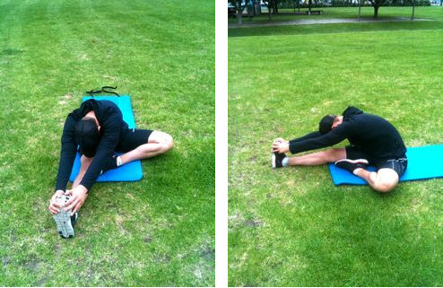 'Dog hamstring physio therapy exercises' / 'high hamstring tendinopathy ...