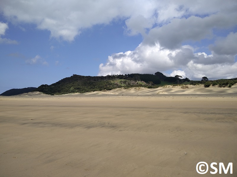 Vivre Auckland: Pouto Point, son phare et la plus longue plage routière ...