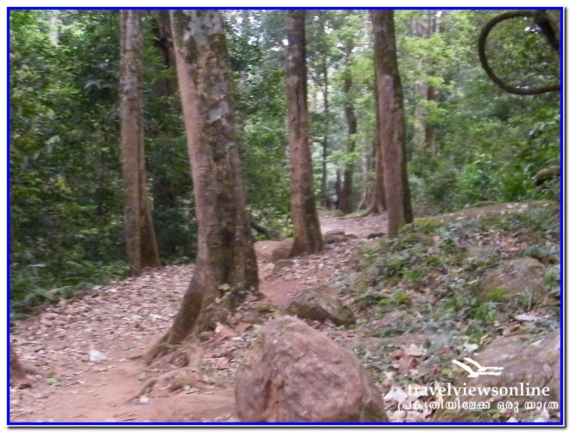 പ്രകൃതിയിലേക്ക് ഒരു യാത്ര (a travel towards NATURE): PULLUMEDU a unique ...