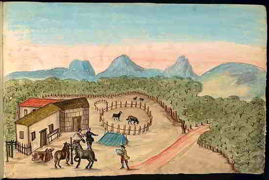 IGNACIO TIRSCH MISIONERO JESUITA PINTOR