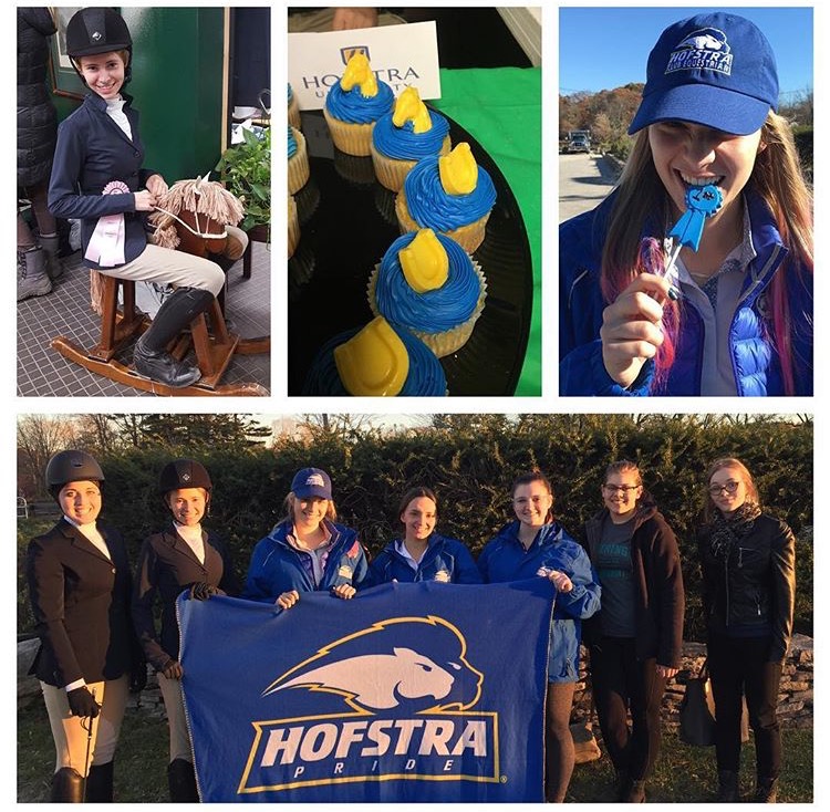 Hofstra Student Life: November 2016