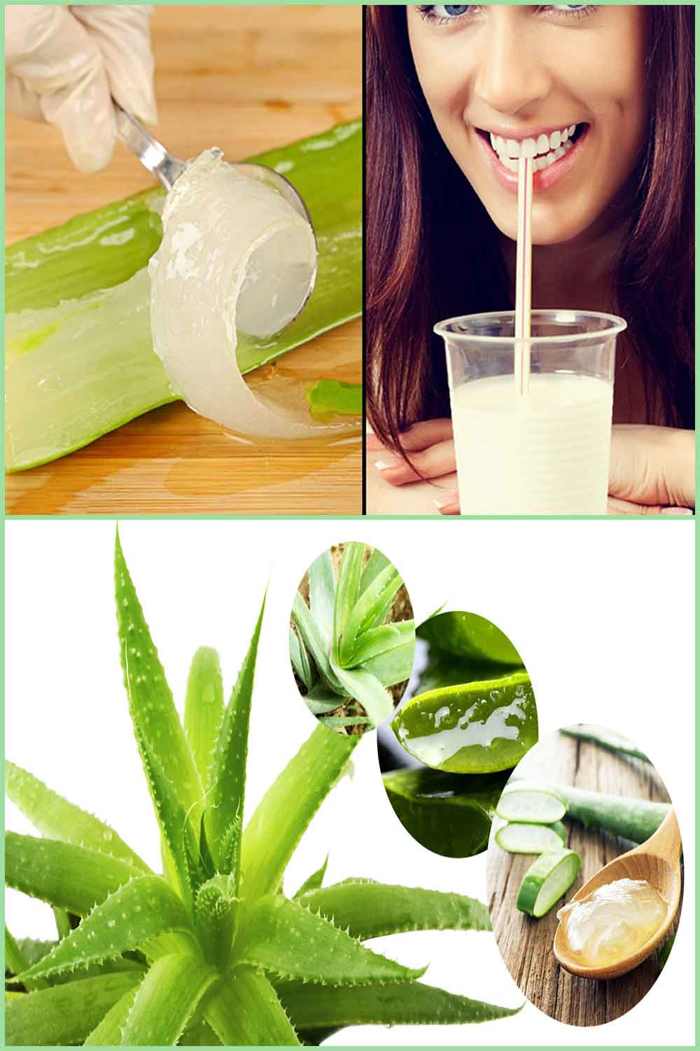 Différentes façons de consommer l'Aloe Vera pour ses bienfaits pour la ...