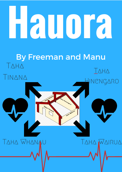 Freeman : Hauora - 4 walls